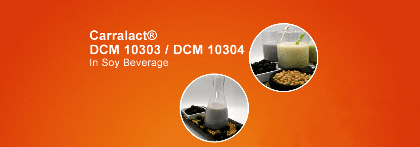 Carralact® DCM 10303 and DCM 10304: Texture and stability for your soy ...
